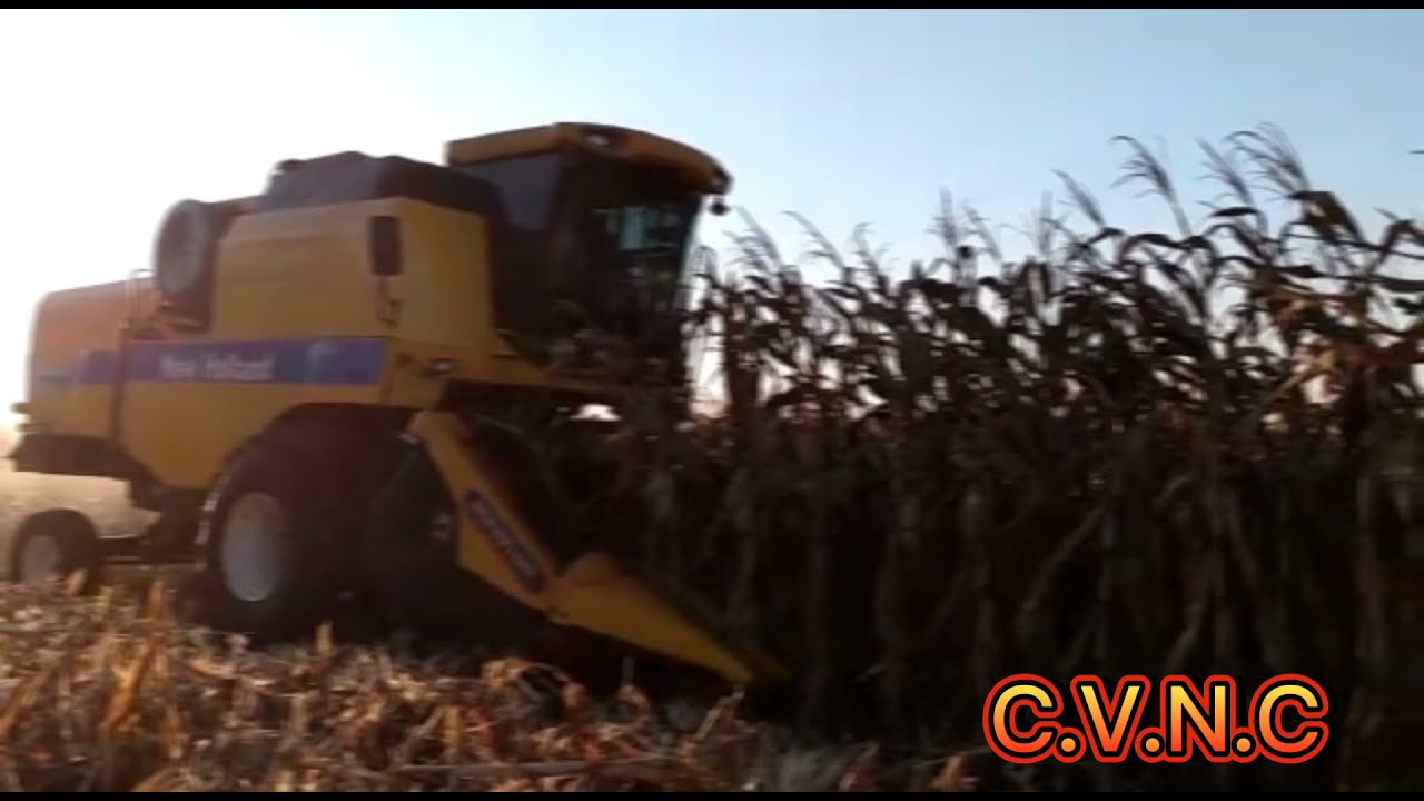 vídeos para status de whatsapp, agro - YouTube