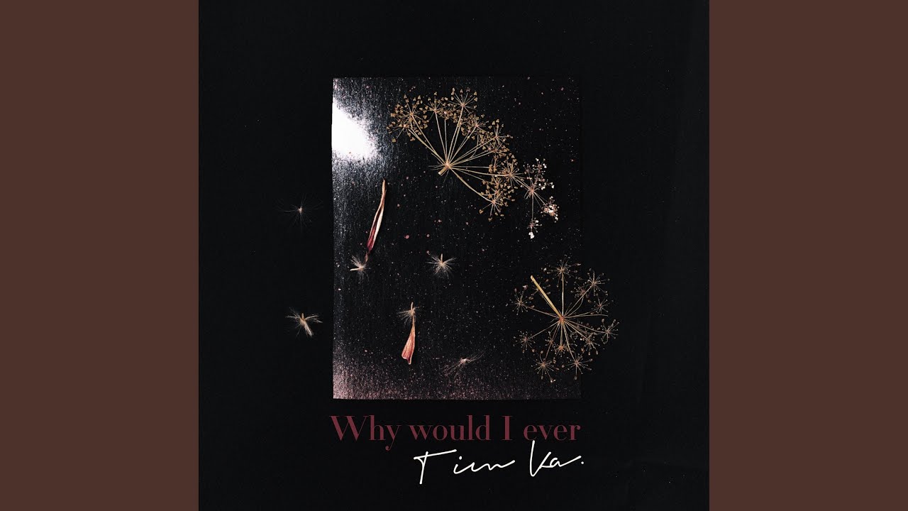 Why Would I Ever - YouTube Music