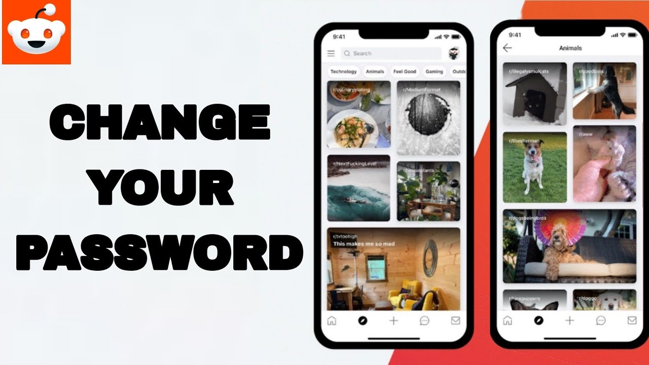 How To Change Your Password On Reddit App - YouTube