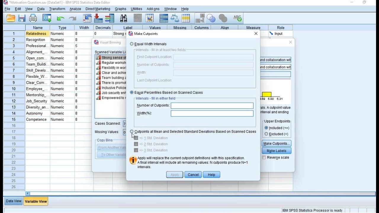 SPSS How to Perform Visual Binning in SPSS - YouTube