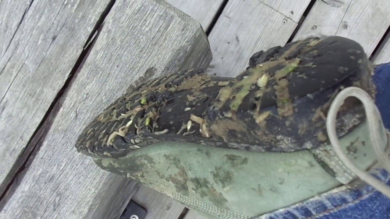 Timberland Boots food stomp, trample Zucchini / Courgette - YouTube