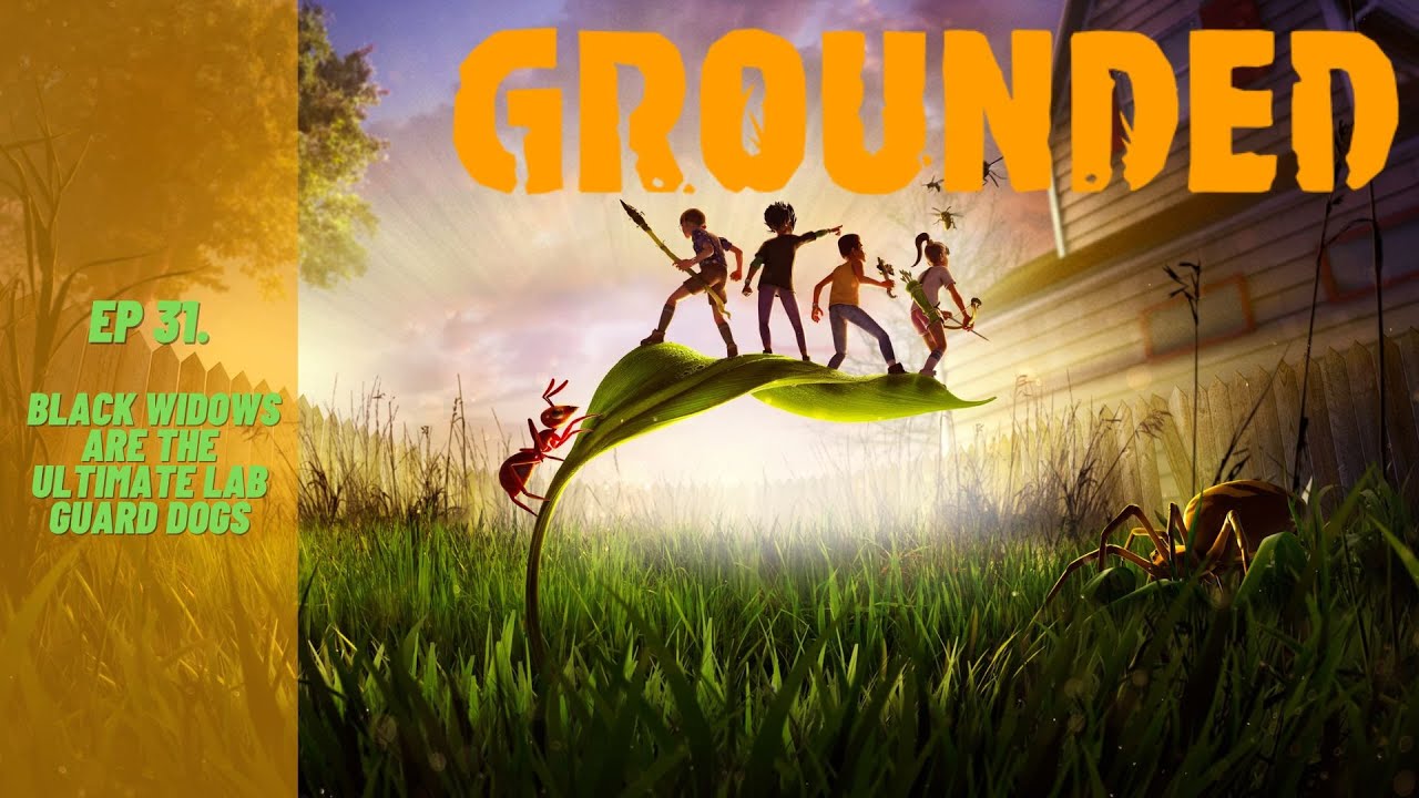 Grounded - Black widows are the ultimate lab guard dogs - YouTube