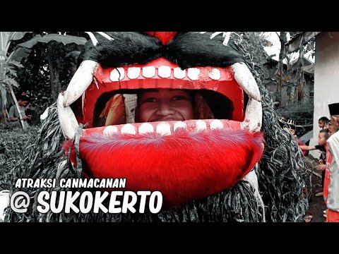 FULL MAONG REMAS tampil di sukokerto jember - atraksi drumband can macanan - Lion dance of java