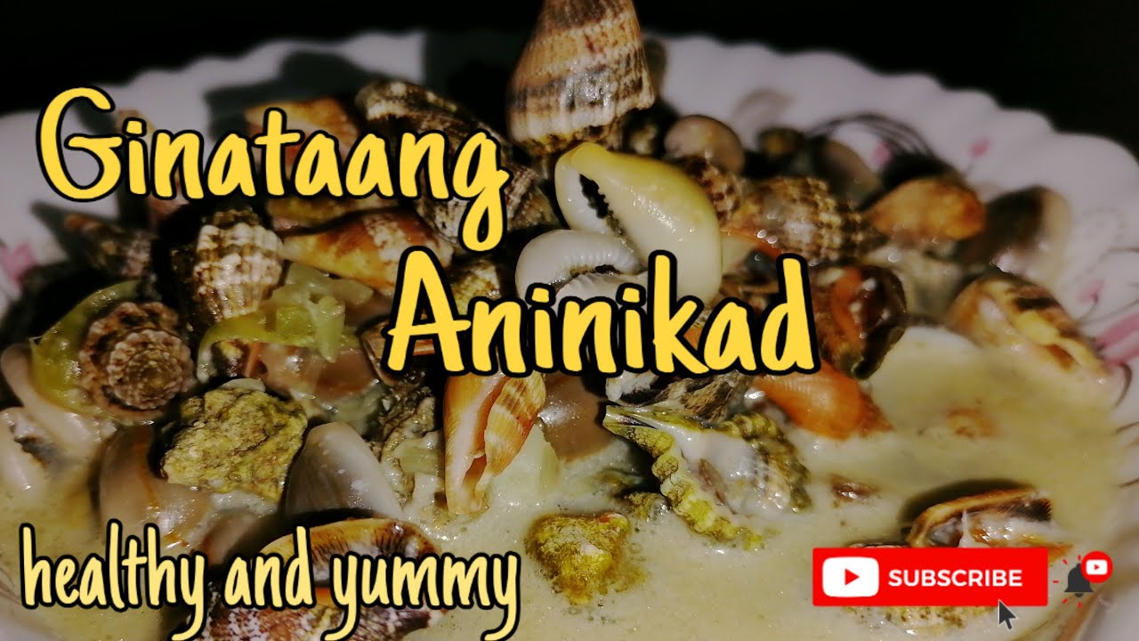 How to cook |ginataang aninikad||plicate conch|#lutoniLaviel09|healthy ...
