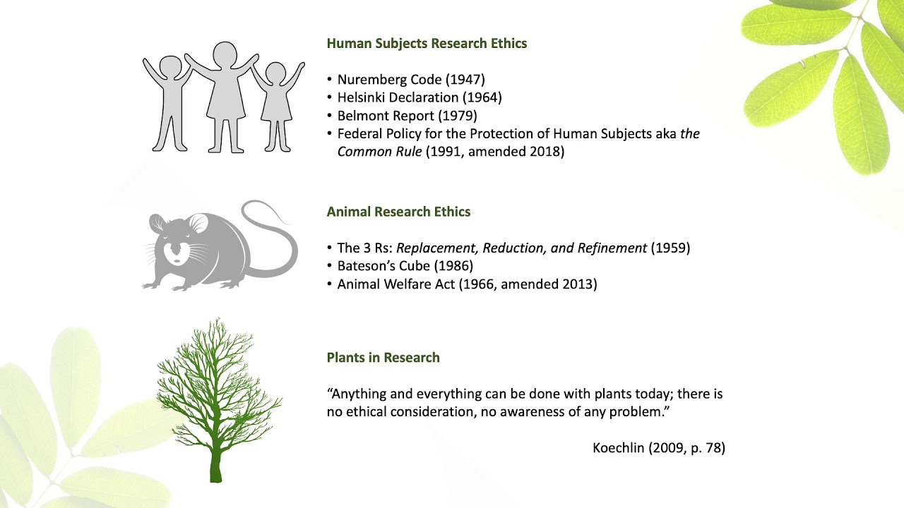 Beyond Human-Centered Design: Proposing a Biocentric View on Design ...
