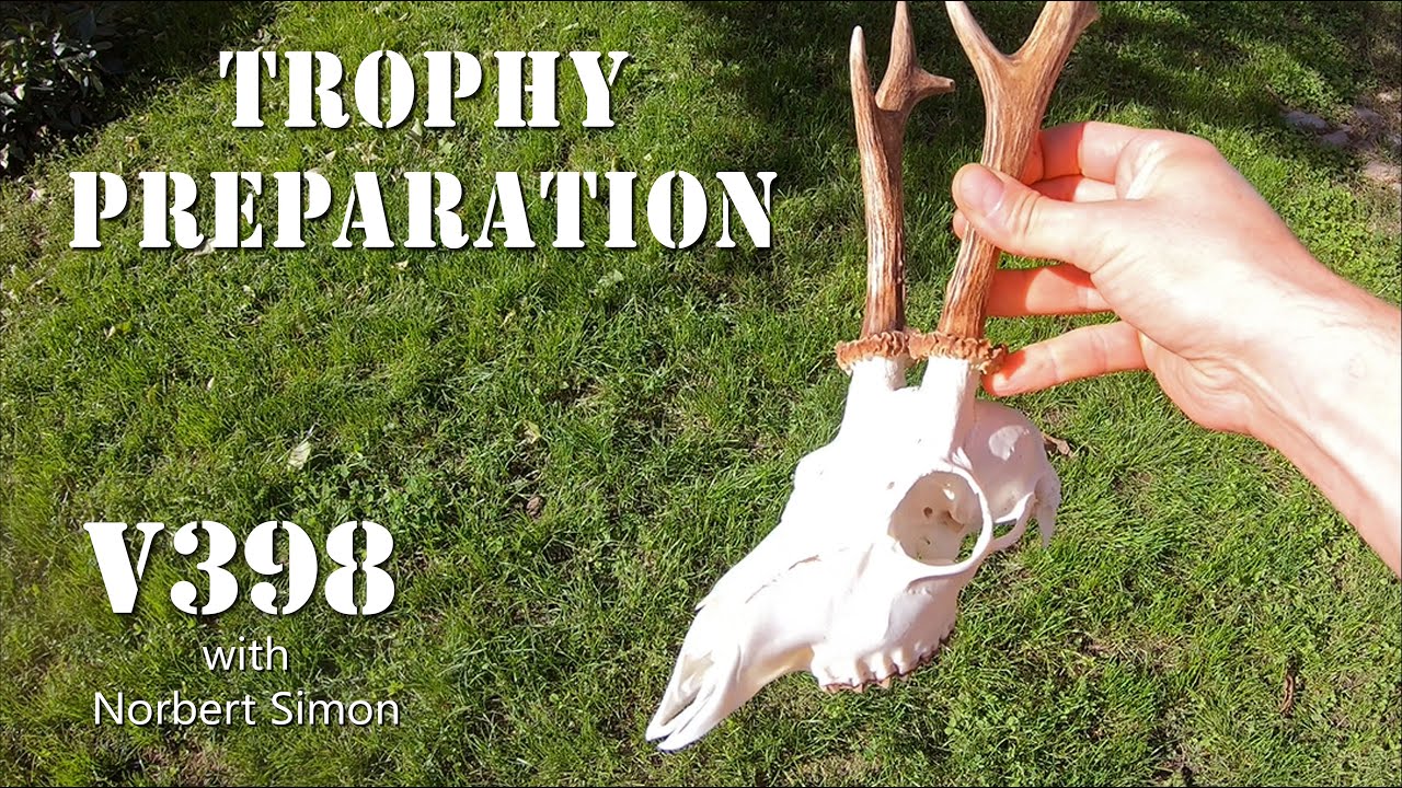 Trophy Preparation with Norbert Simon, V398 - YouTube