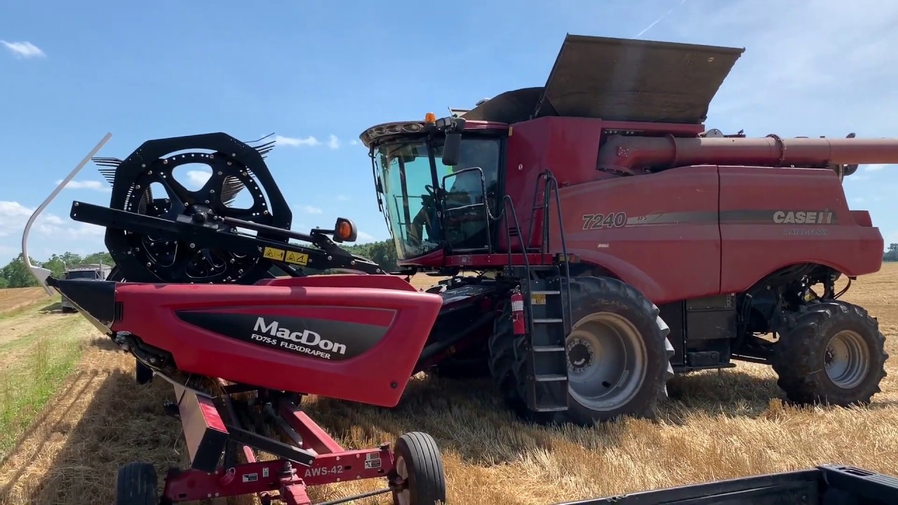 Wheat harvest 2019 // Farm Vlog - YouTube