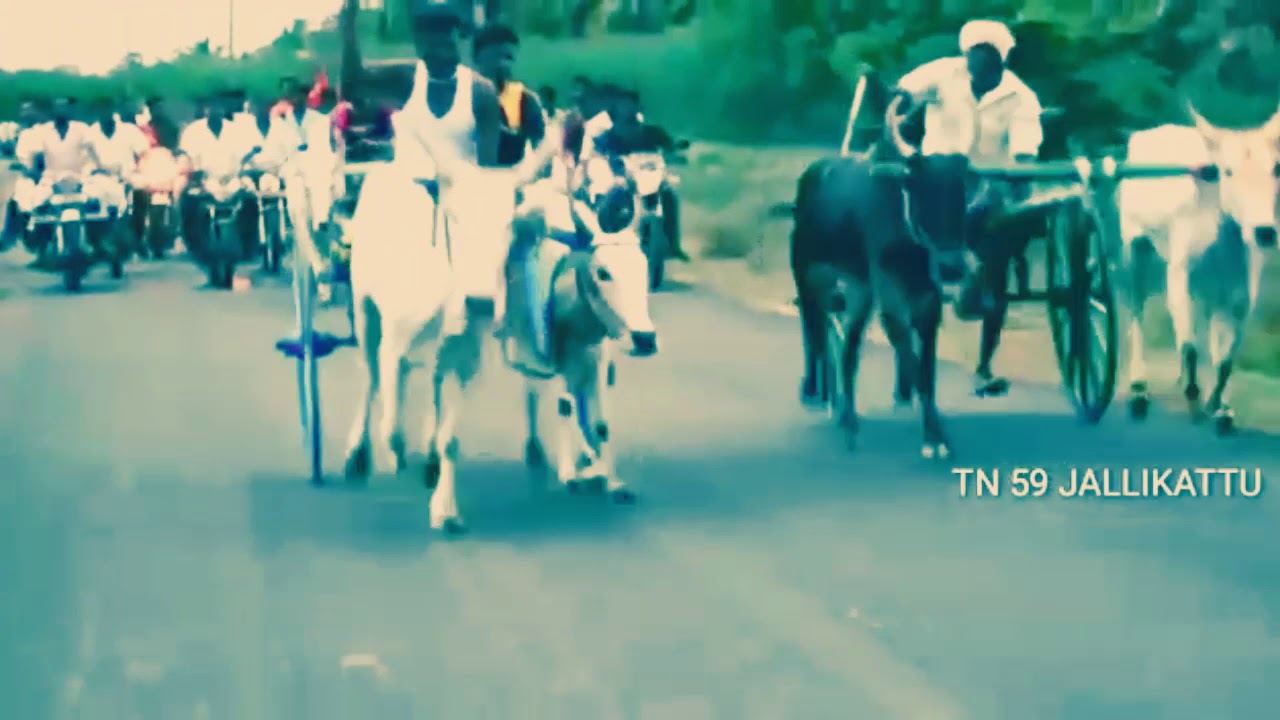 Mattu vandi panthayam aattoor alagu ampalm - YouTube