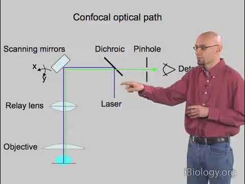 Confocal Microscopy（optical sectioning） and Triangulation 3D scanning ...