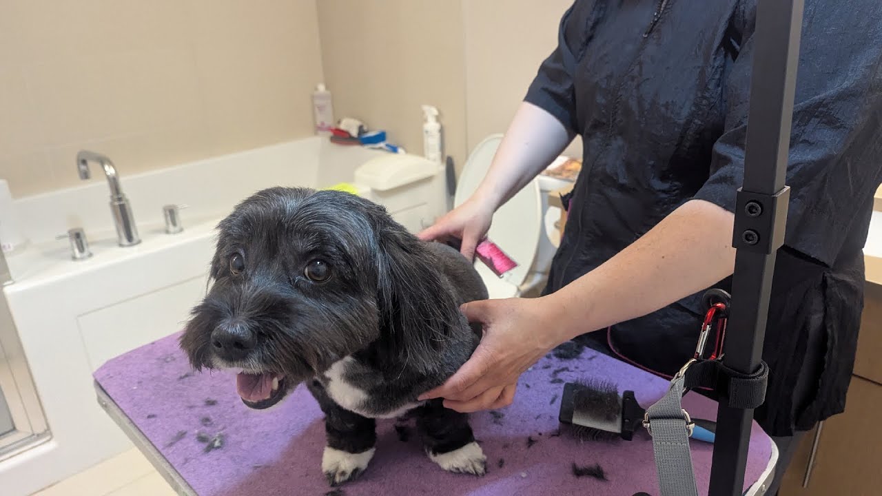 Grooming example - YouTube