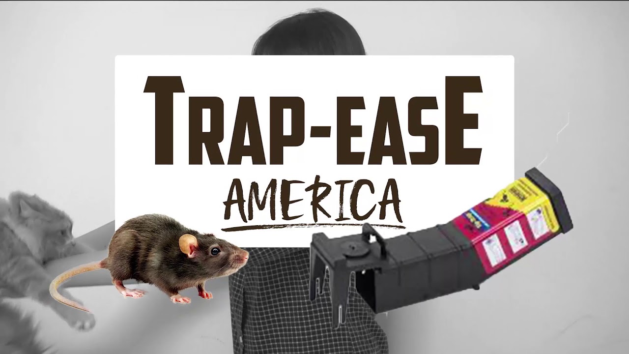 [Case study] TRAP-EASE AMERICA - YouTube