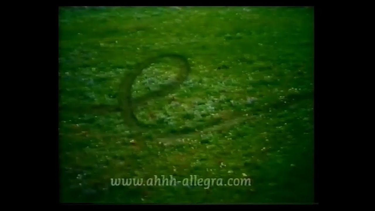 May 12, 1998 commercials (Vol. 2) - YouTube