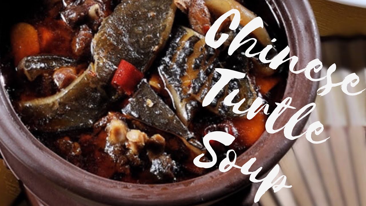 Spicy Chinese Turtle Stew | Food Review | VLOG 00036 - YouTube
