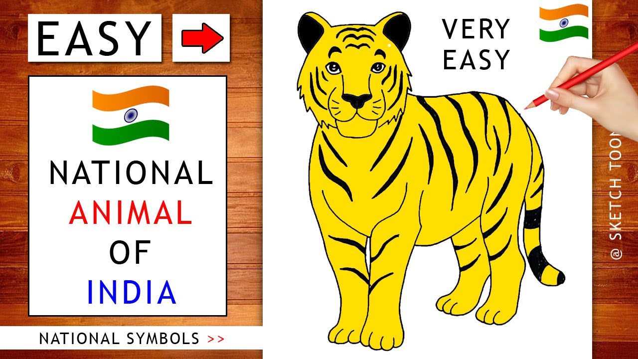 Tiger drawing - National Animal of india drawing - National symbols of ...