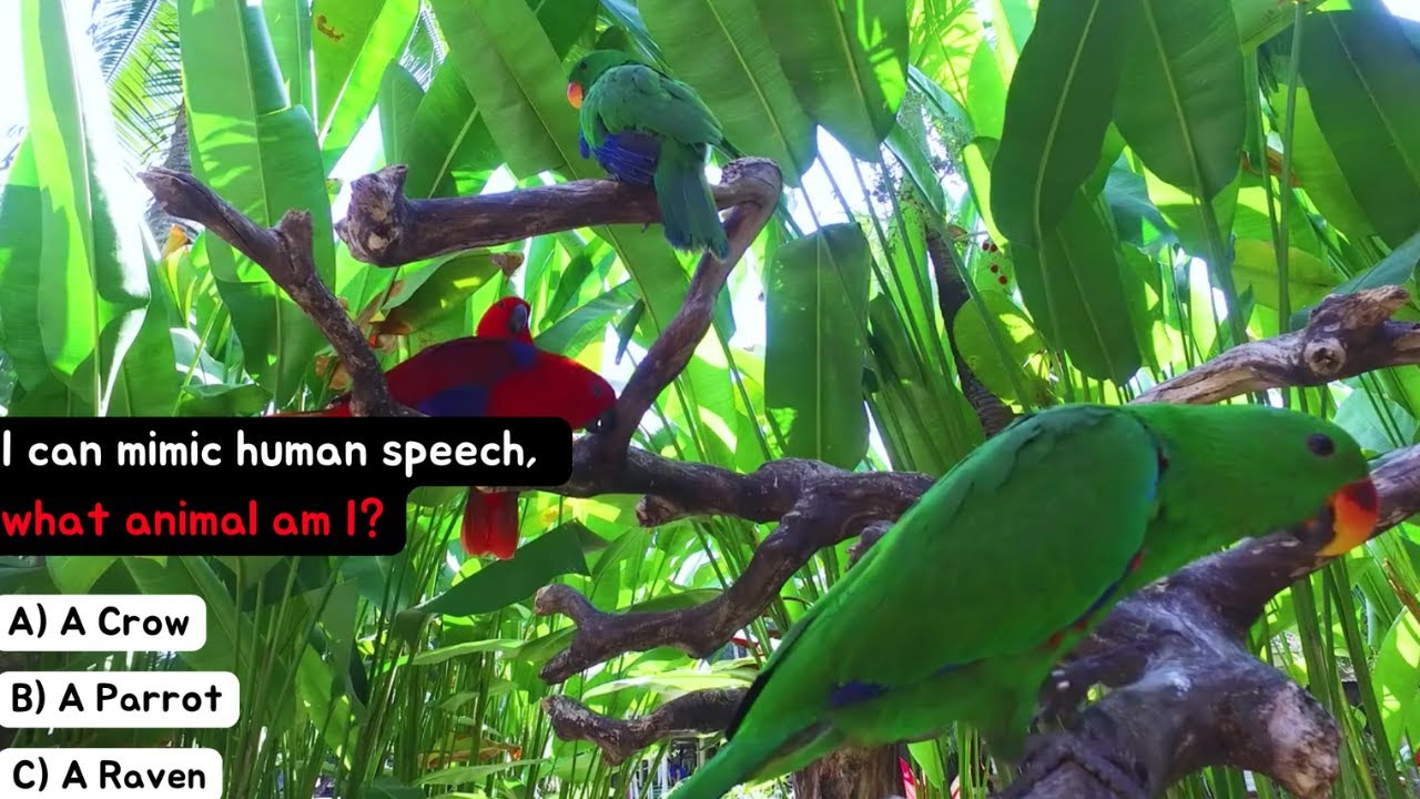 Guess the animal - 30 fascinating wild animal trivia questions and ...
