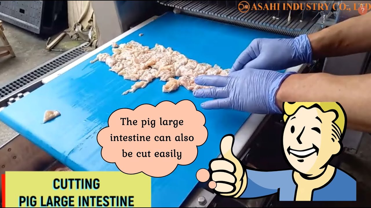 FRESH MEAT SLICER PIG LARGE INTESTINE SLICING - YouTube