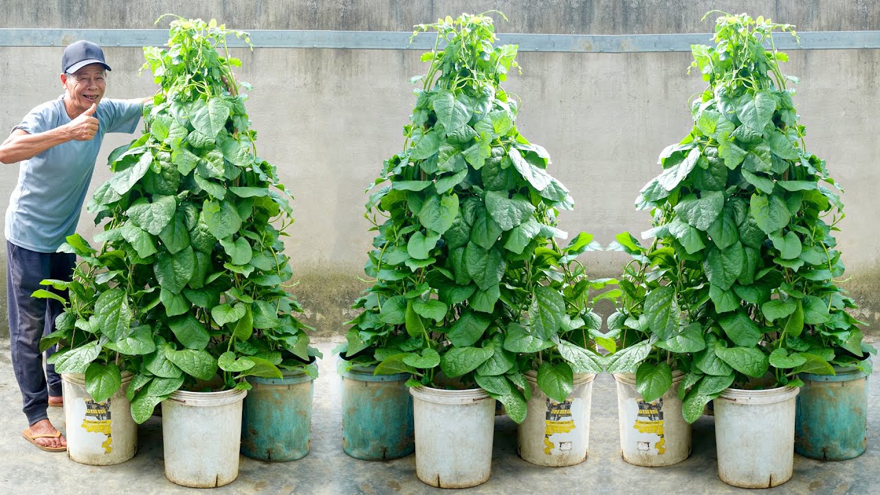 Planting Vegetable Tower For Summer, Not Only Delicious But Also ...