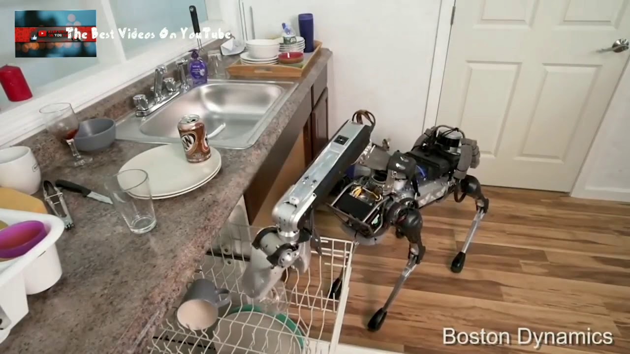 Unbelievable ROBOTICS ANIMALS - YouTube
