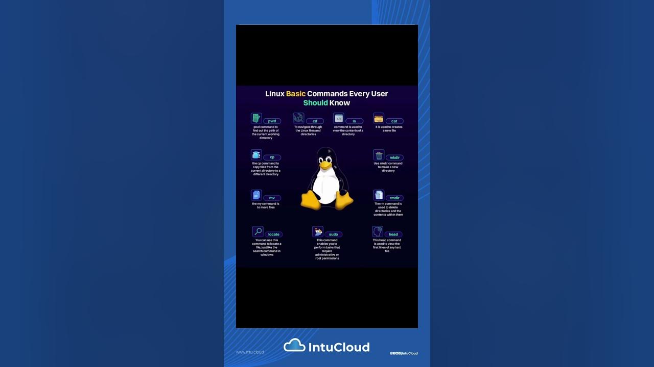 50 Linux commands - YouTube