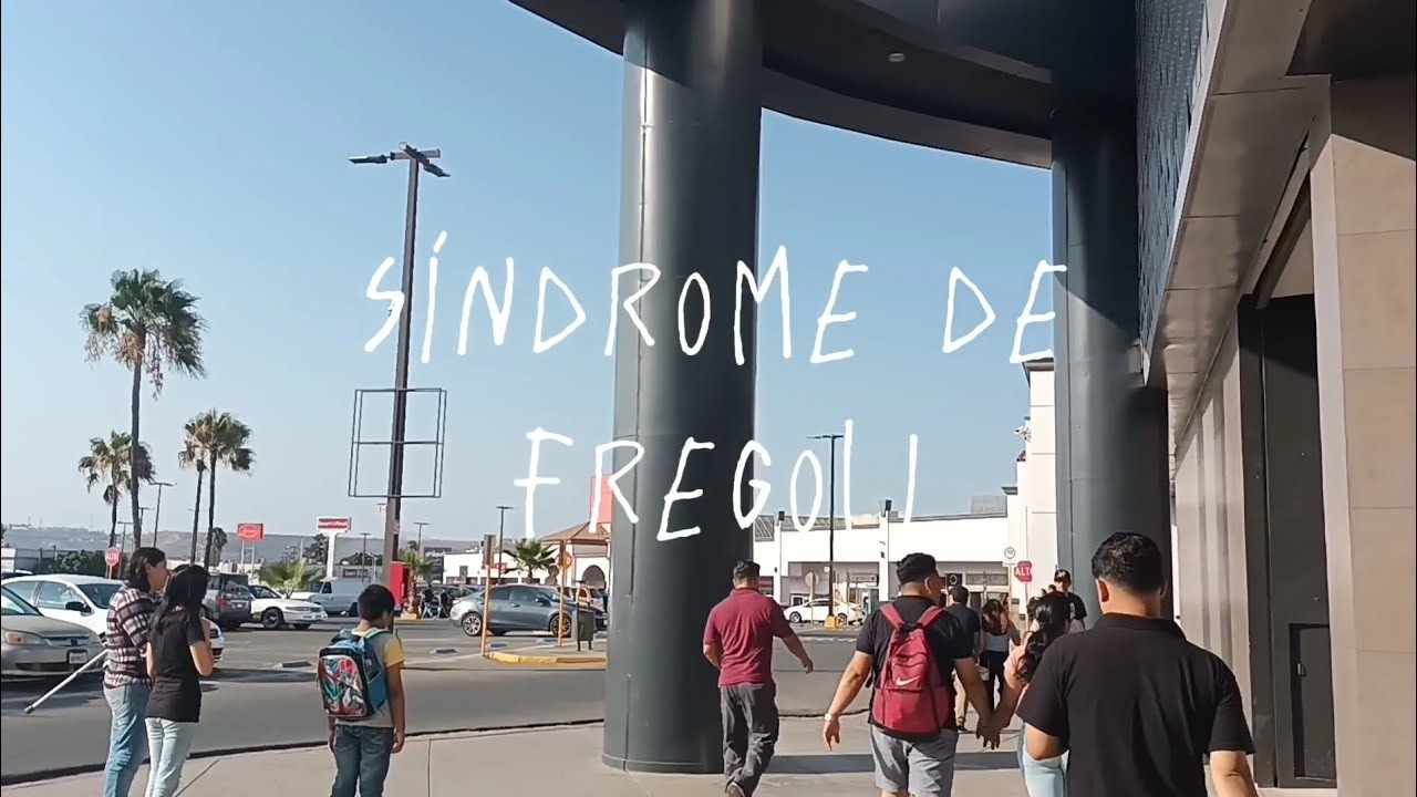 Síndrome de Fregoli - Los petitfellas ( lyric video fanmade) - YouTube