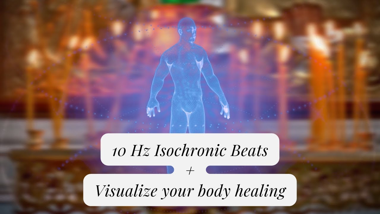 Body Visualizer