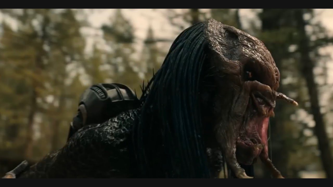 Predator All Scenes | Predator All kill compilation - Prey 2022 ...