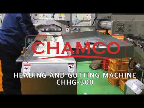 Heading and gutting machine(두절내장제거토막기)-chamco
