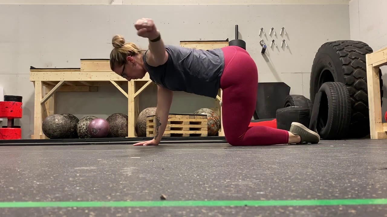 Bird Dog Lateral Reach - YouTube