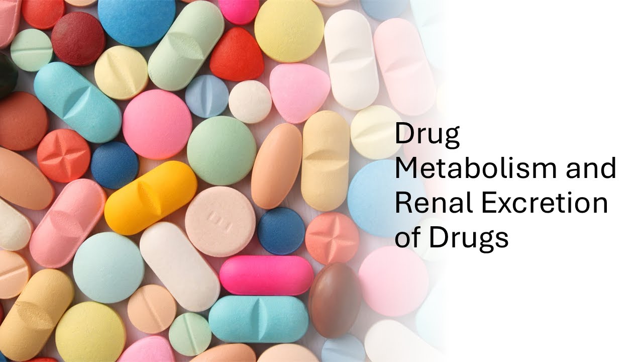 Drug Metabolism and Renal Excretion of Drugs - YouTube