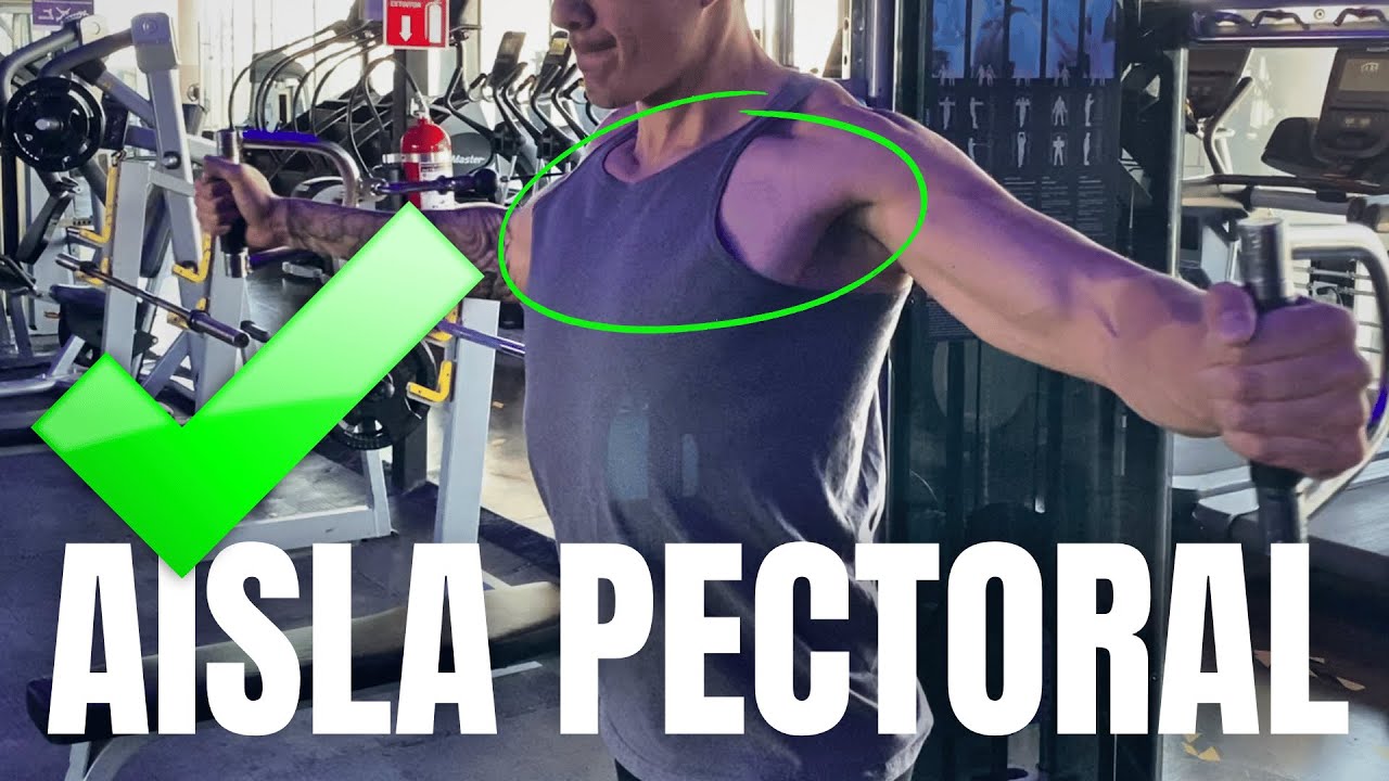 Aperturas (Flys) De Pecho En Polea - Rutina Pecho - YouTube