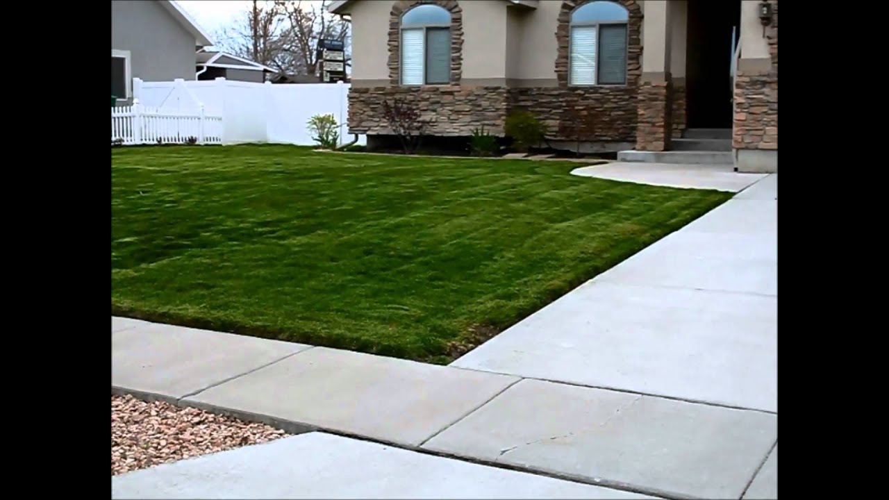atom lawn edger - YouTube