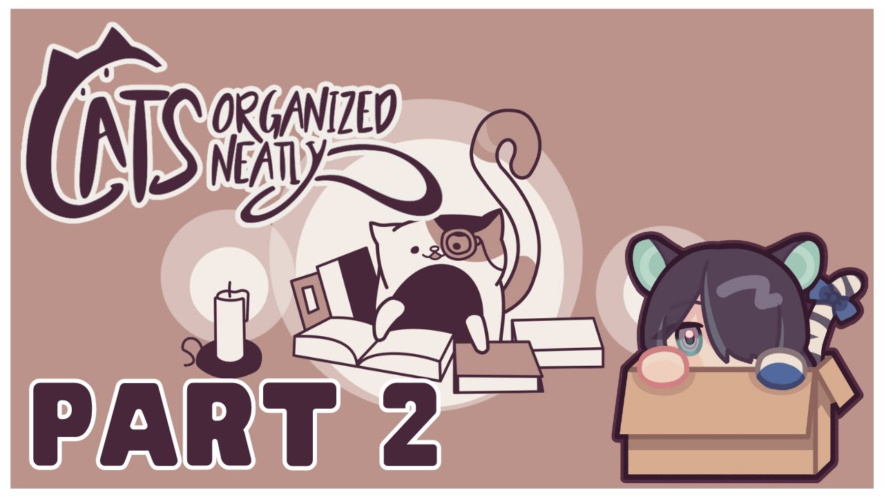 CATS ORGANIZED NEATLY P2 】 Organizing My Clean Mess - YouTube