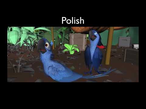 RIO 2 | Rio 2 Shot Progression | Matt Munn |@3DAnimationInternships