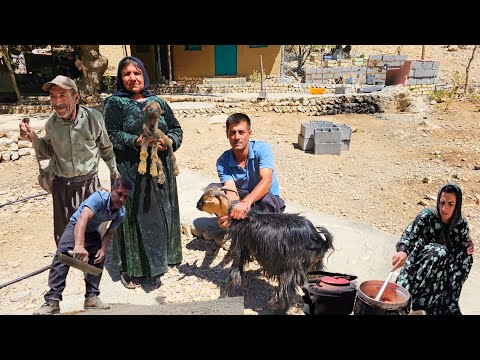 🐐❤️ A New Life Was Born in the Mountains! | Asghar & Halimah’s Nomadic Life