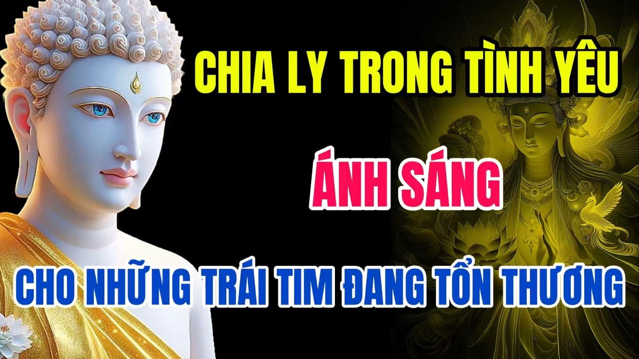 Chia Ly Trong Tình Yêu – Ánh Sáng Tỉnh Thức Cho Những Trái Tim Đang Tổn ...