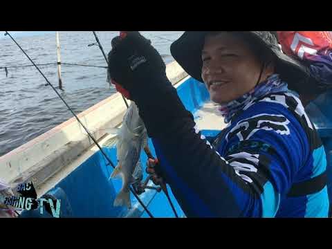 Obando Bulacan | Manila Bay Fishing Spot | Catch Grouper Fish | Sea Bream | Philippines 🇵🇭 - YouTube