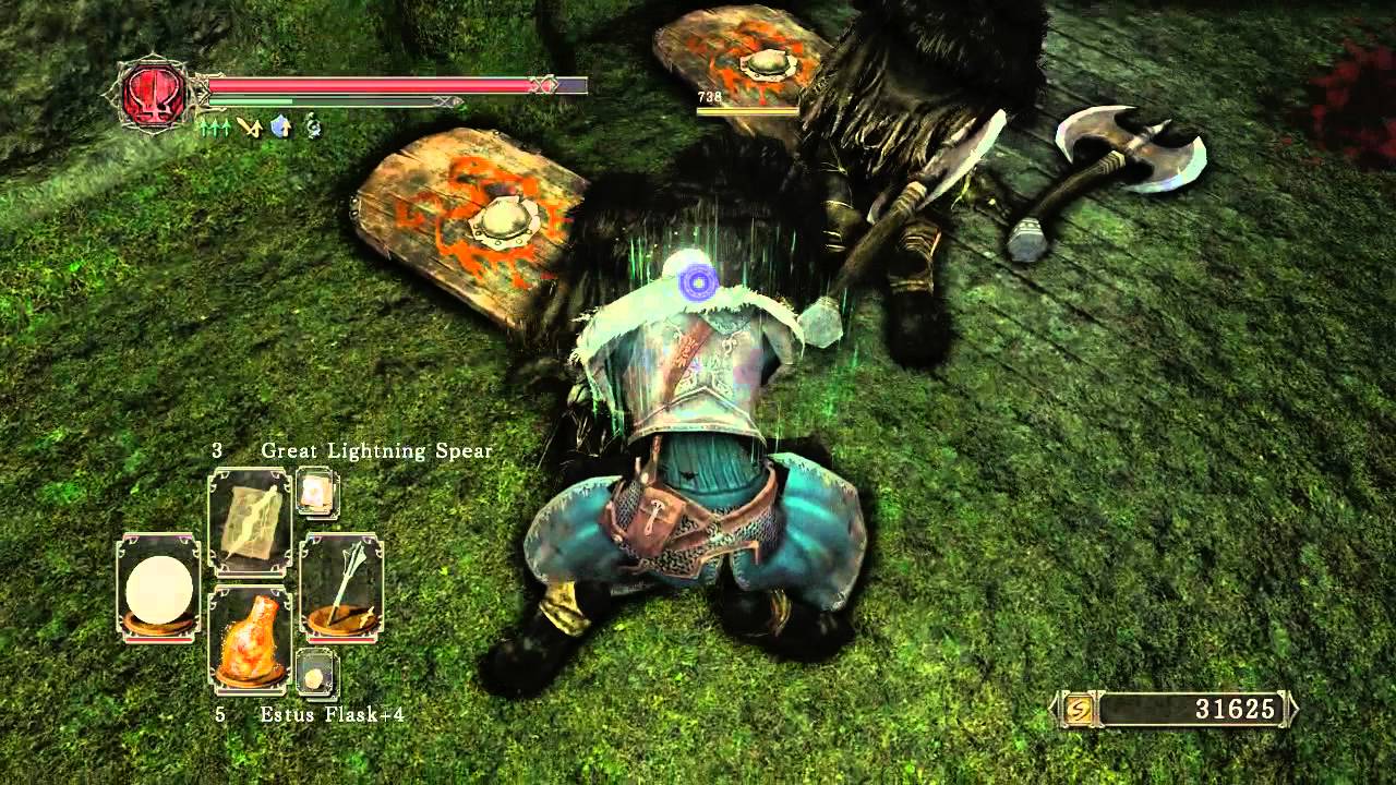 Lion Warrior Dark Souls 2