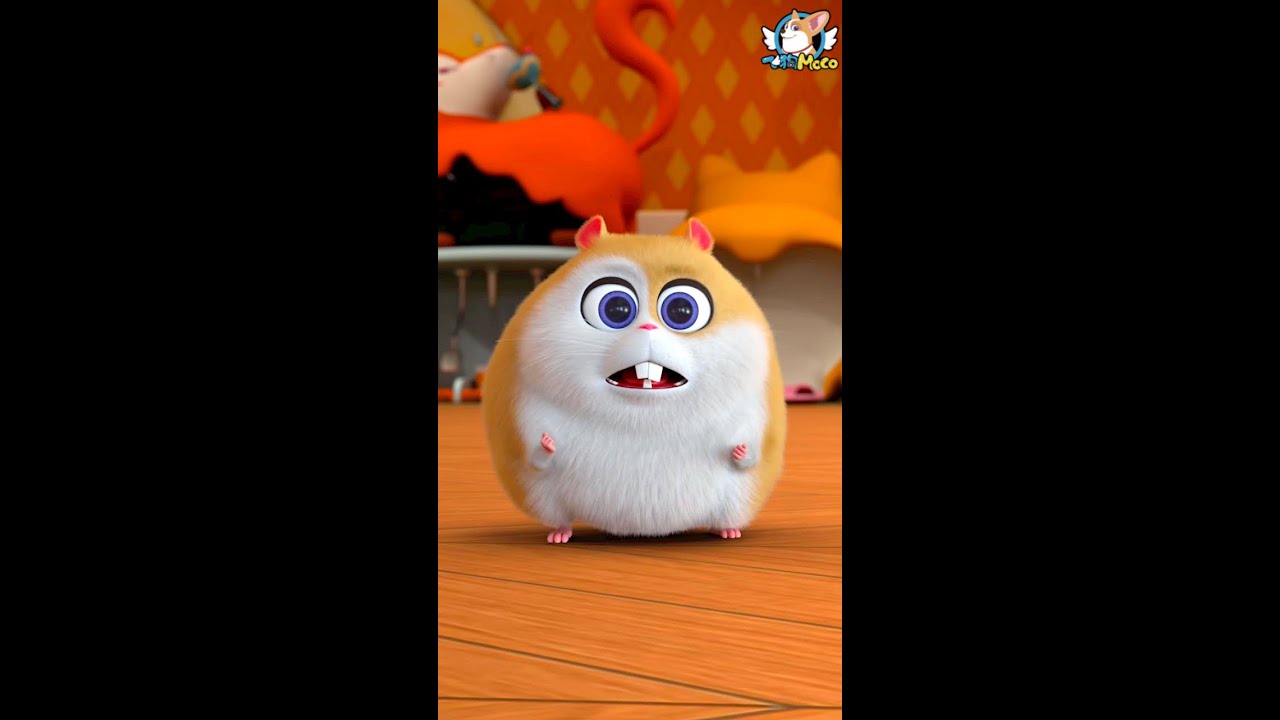 MOCO and YUMMY🐶 | A Smart Guy 邏輯鬼才 | Flying MOCO Shorts 爆笑飛狗MOCO (2022 ...