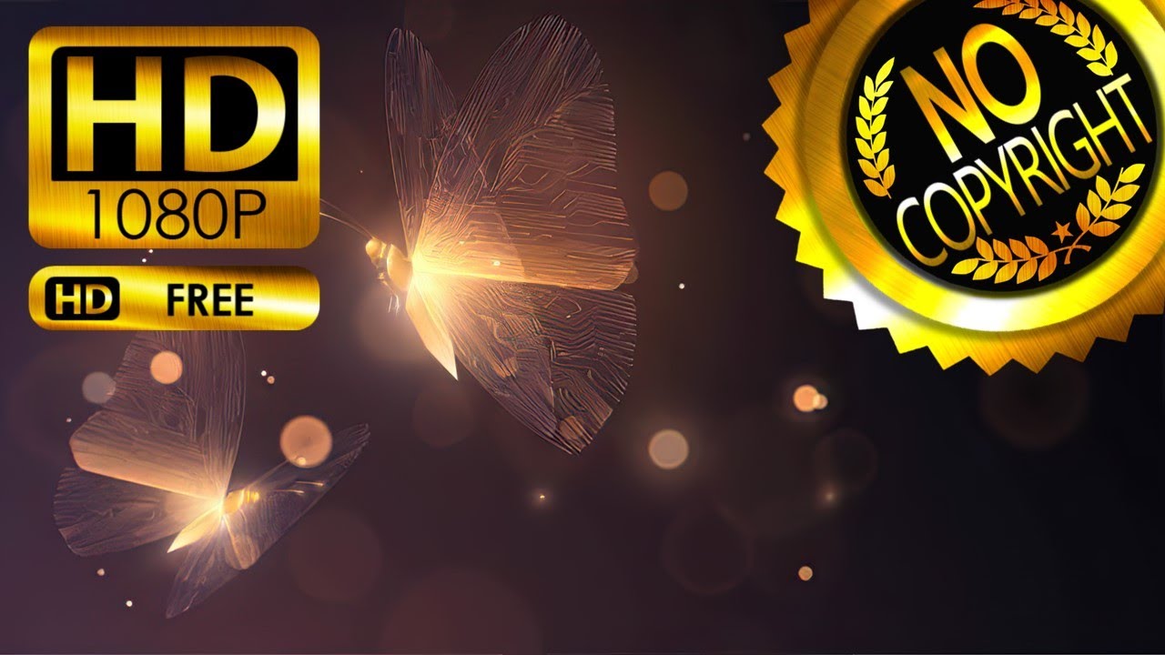 [HD] 10 Butterfly Thumbnails for Relaxing Music Videos | FREE | HIGH ...
