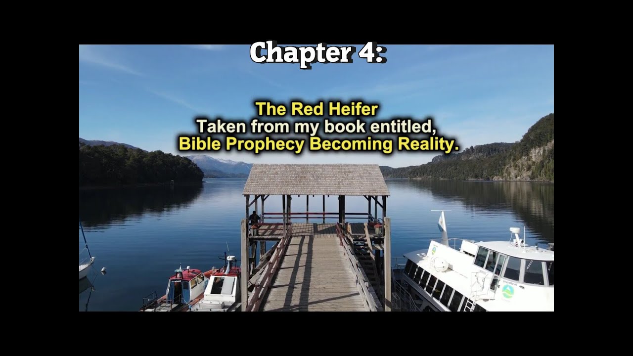CH 4: The Red Heifer (Bible Prophecy Becoming Reality) - YouTube