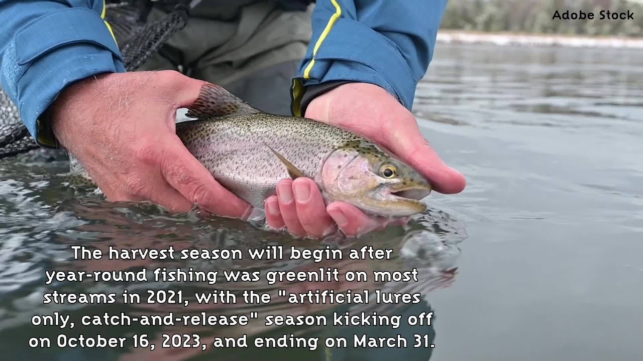 DEC: Spring trout fishing season starts April 1 - YouTube