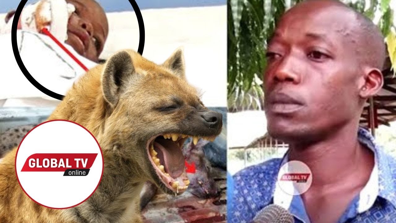 INAUMA: MTOTO WA MIAKA 6 ASHAMBULIWA NA FISI BABA YAKE AKISHUHUDIA ...