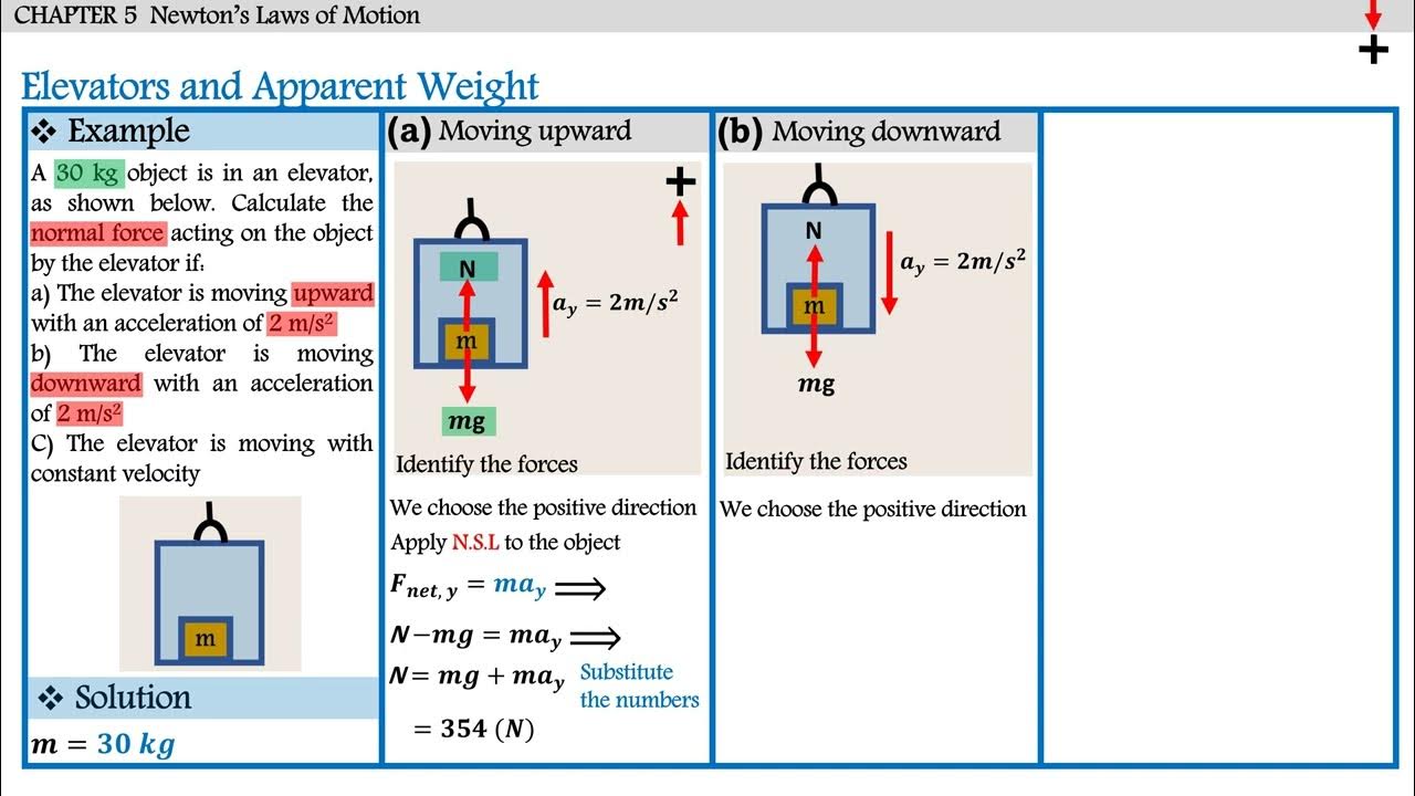 physics 101 Elevators and Apparent Weight فيزياء 101 - YouTube