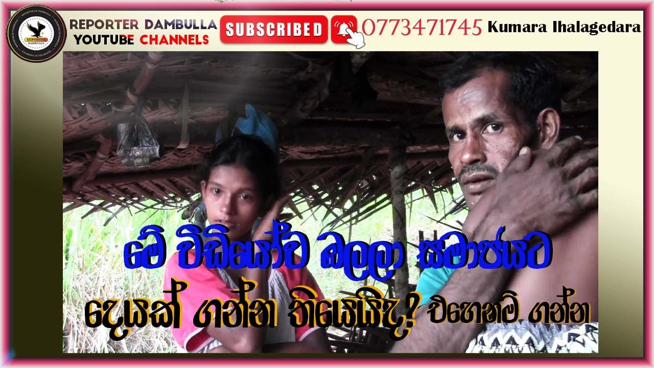 මේ වීඩියෝ බලන ඔබට සමාජයට දෙයක් කියන්න තියෙයිද ? | REPORTER Dambulla ...