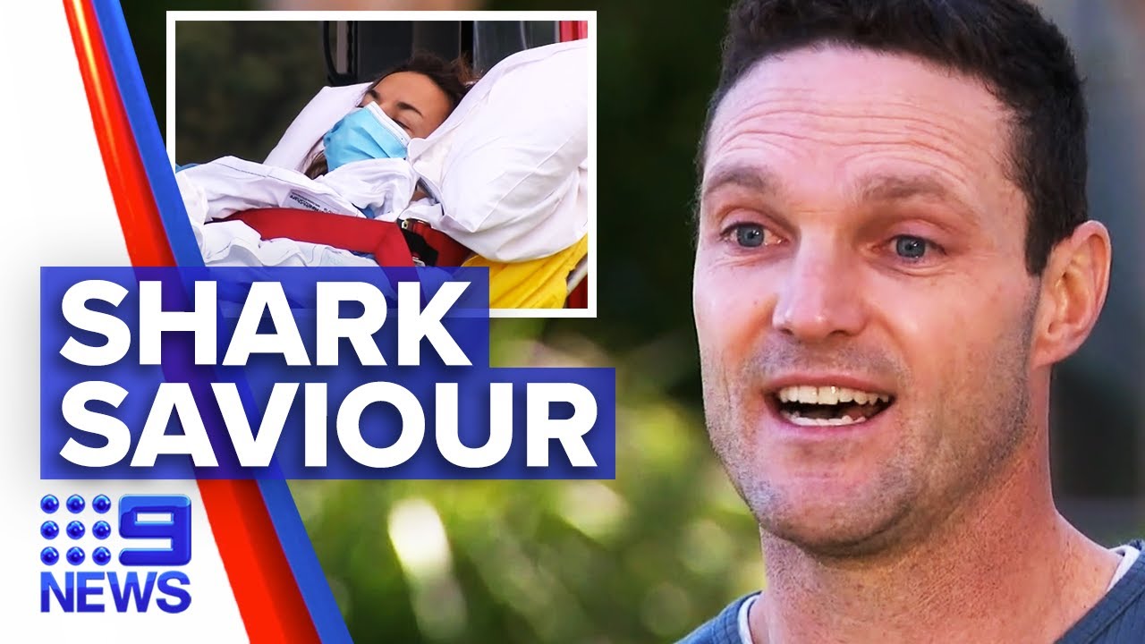 Husband Hailed As Hero For Saving Wife From Shark Attack 9 News