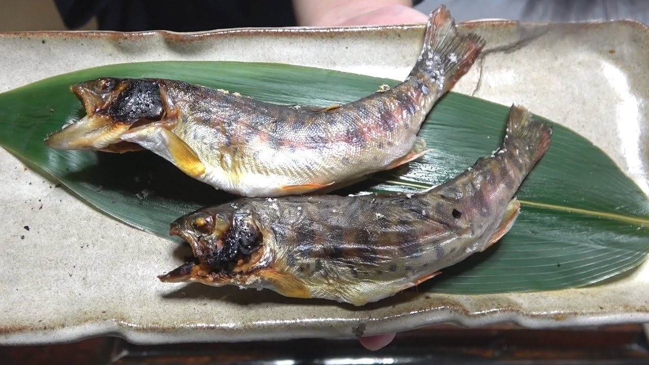 ヤマメ、鮎-Yamame trout & Ayu Fish-Japanese food【江戸長火鉢 137杯目】 - YouTube