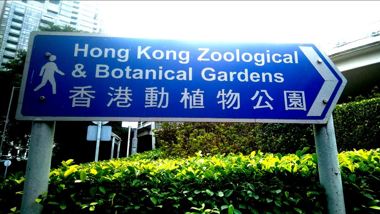 Hong Kong Zoological and Botanical Garden- PART 1 - YouTube