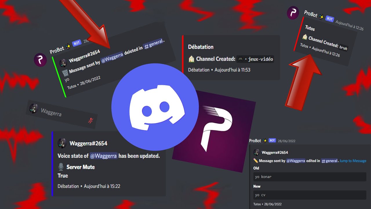 TUTO Avoir des logs sur son serveur discord (Pro Bot) - YouTube