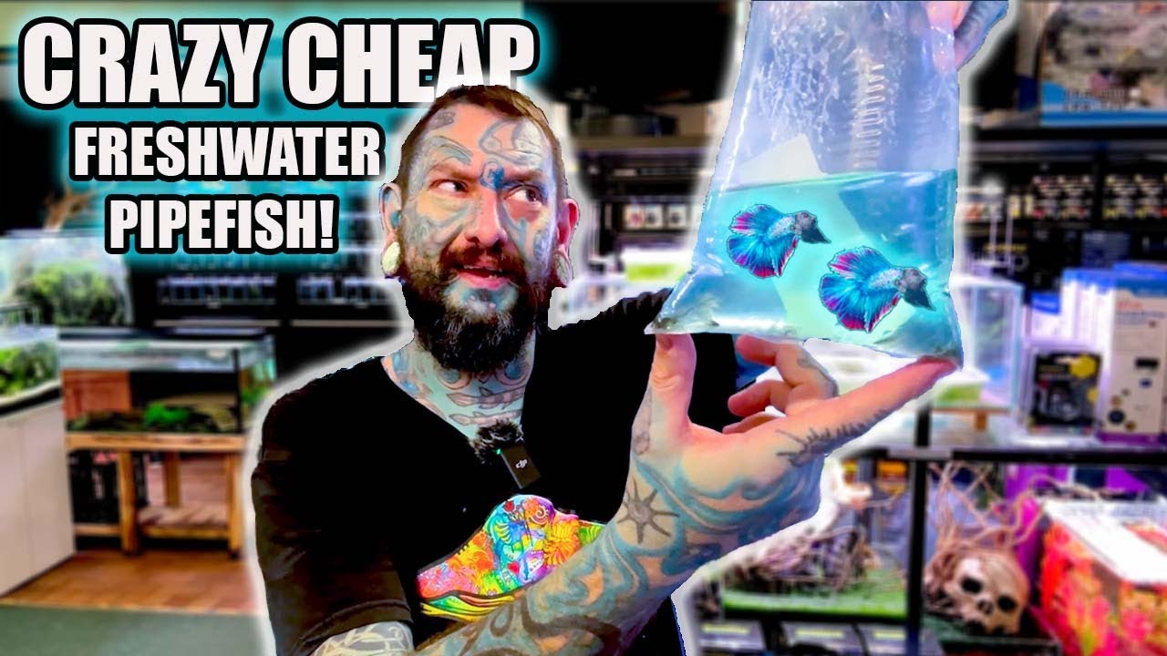 UNBOXING MORE CRAZY WEIRD AQUARIUM FISH! Pauls Aquariums - YouTube