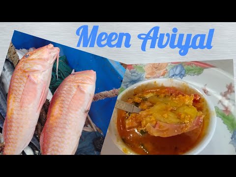 Meen Aviyal (Fish Avial ) Recipe in Tamil - YouTube